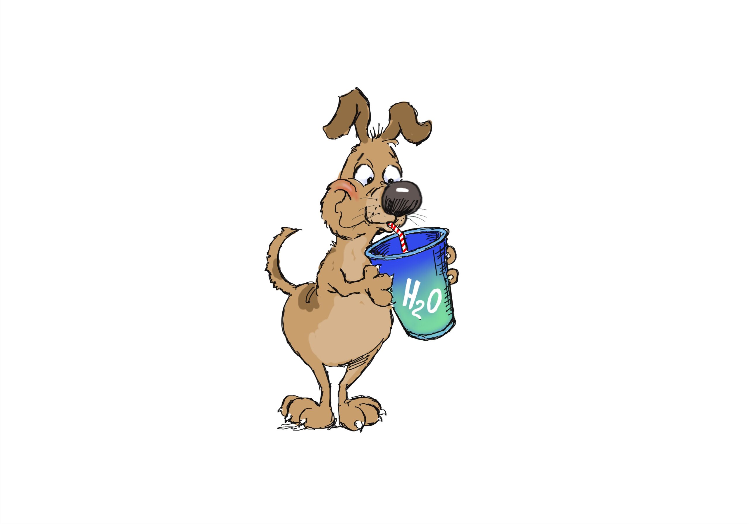WATER | Woof And Me